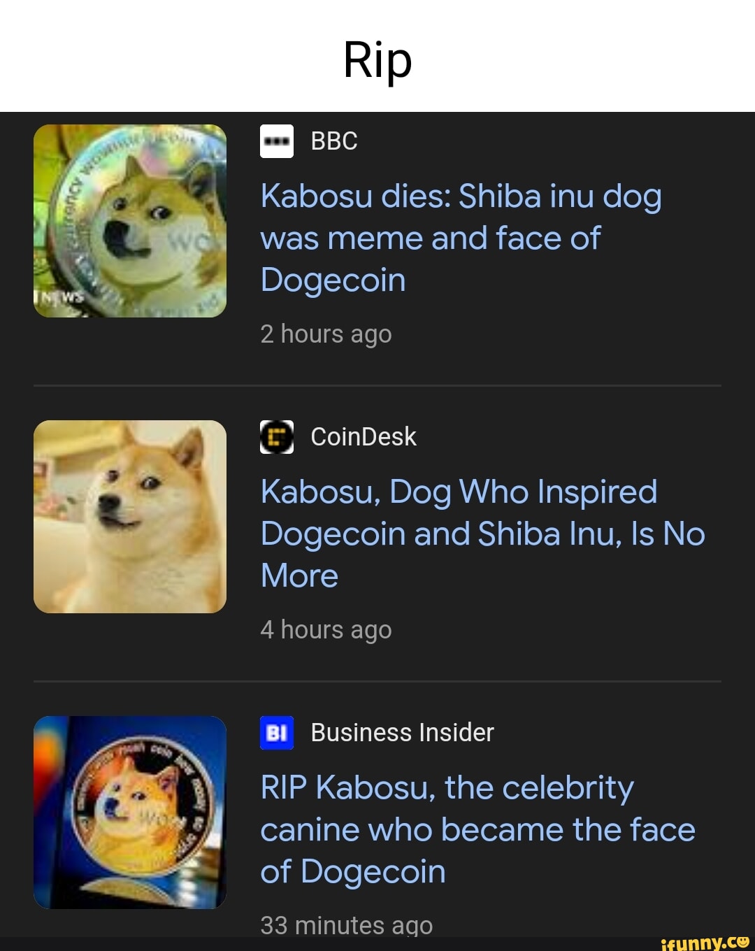Rip BBC Kabosu dies: Shiba inu dog was meme and face of Dogecoin 2 ...