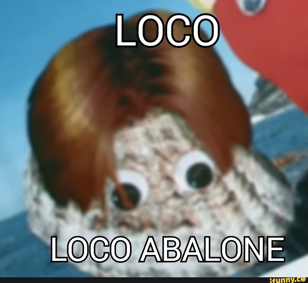 LOCO LOCO ABALONE - iFunny