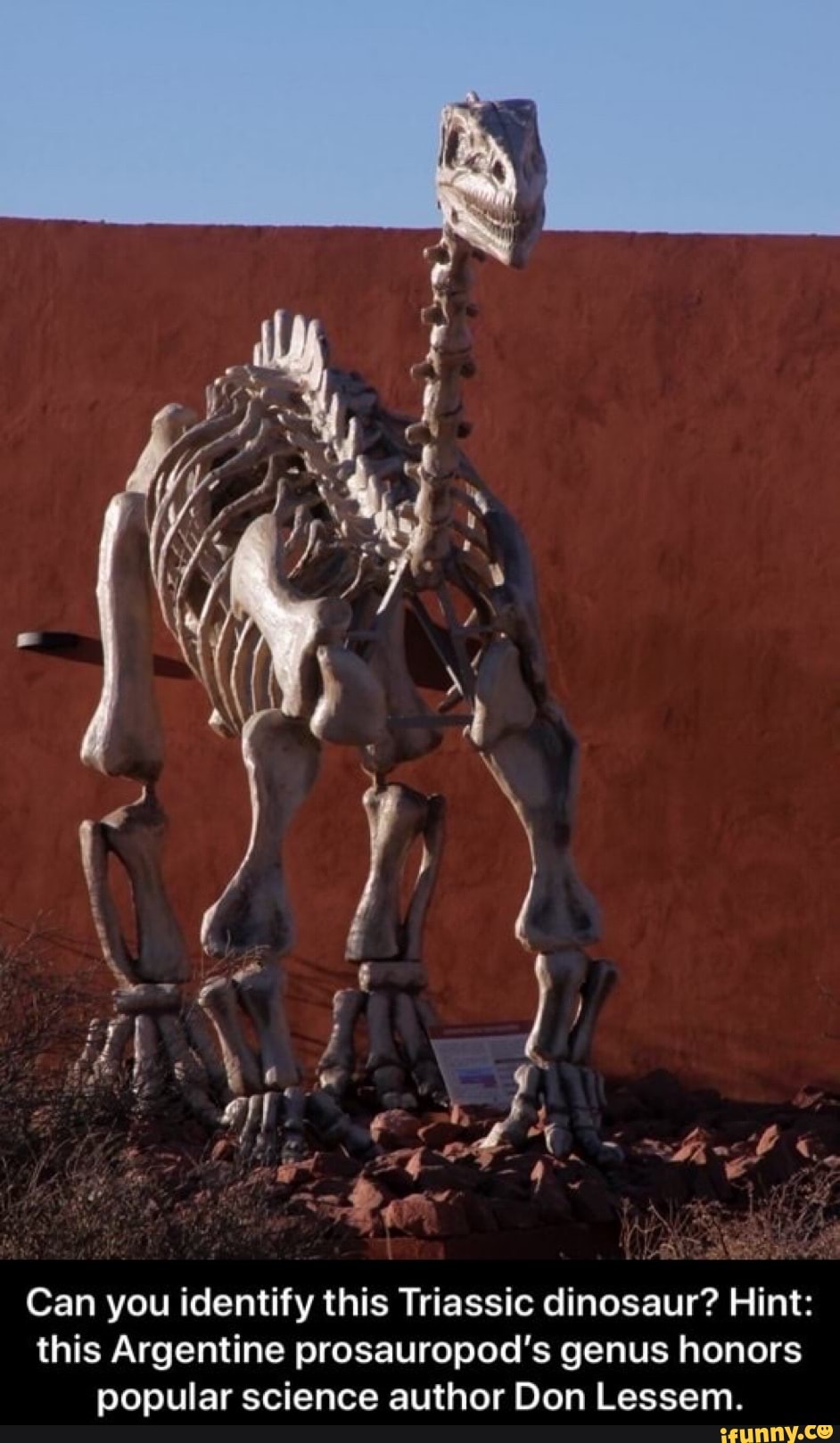 Can you identify this Triassic dinosaur? Hint: this Argentine ...