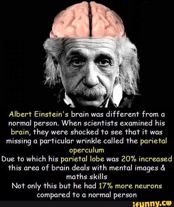 Albert Einstein‘s brain was different from a normal person. When scientists examined his brain ...