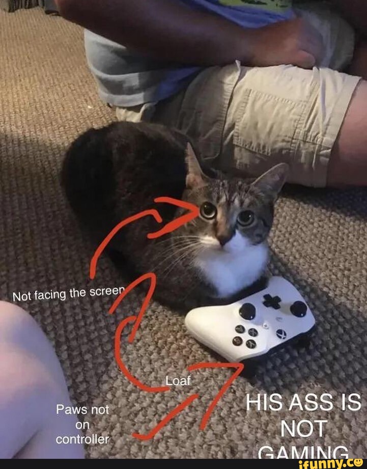 Regular back: -will hurt eventually -boring -stupid bones Backstreet's ...