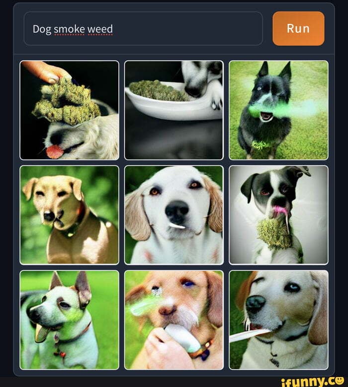 Dog smoke weed Run - iFunny