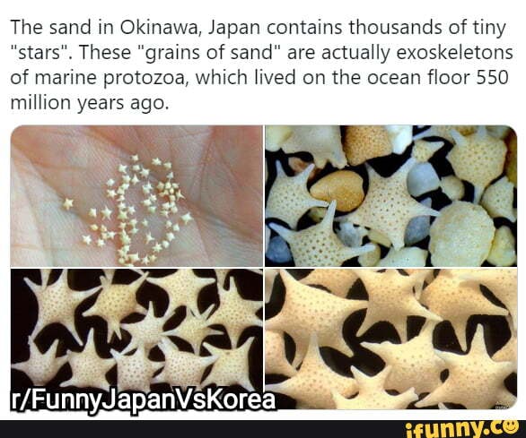 Protozoa memes. Best Collection of funny Protozoa pictures on iFunny