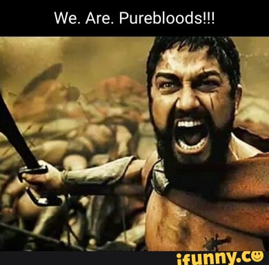 Purebloods memes. Best Collection of funny Purebloods pictures on iFunny
