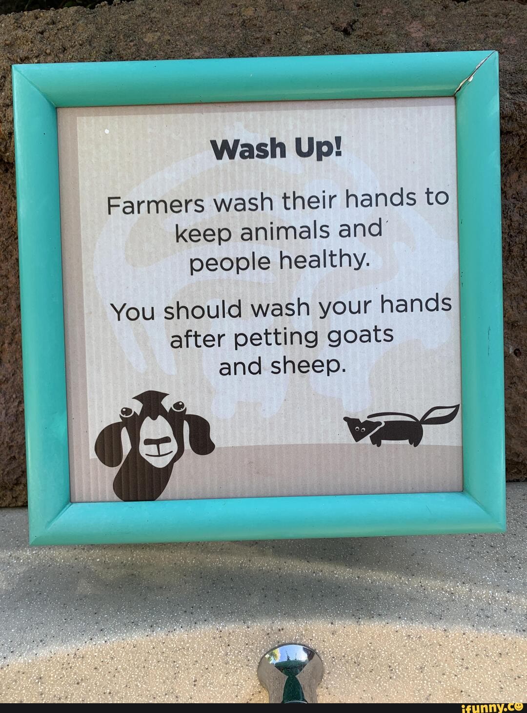 Wash Up! Farmers wash their hands to keep animals and people healthy ...