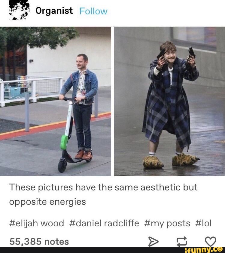 Organist memes. Best Collection of funny Organist pictures on iFunny