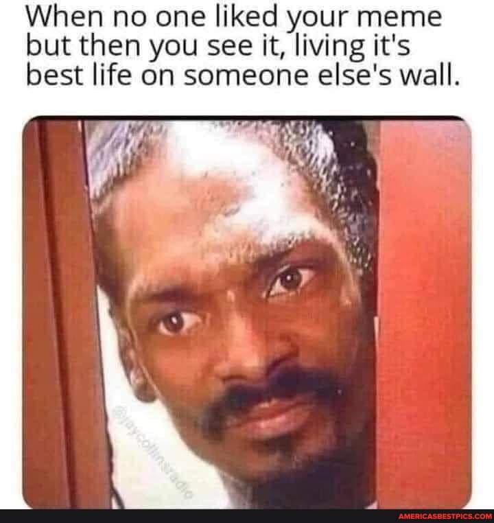 When no one liked your meme but then you see it, living it's best life ...