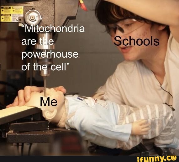 "Milochondria are the powerhouse of the cell" Schools - iFunny