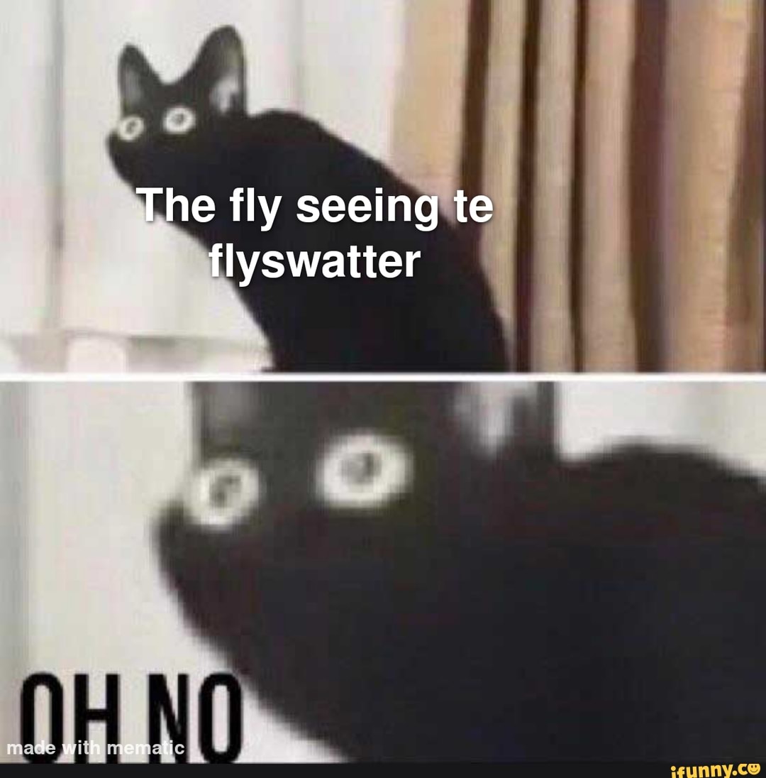 Flyswatter memes. Best Collection of funny Flyswatter pictures on iFunny