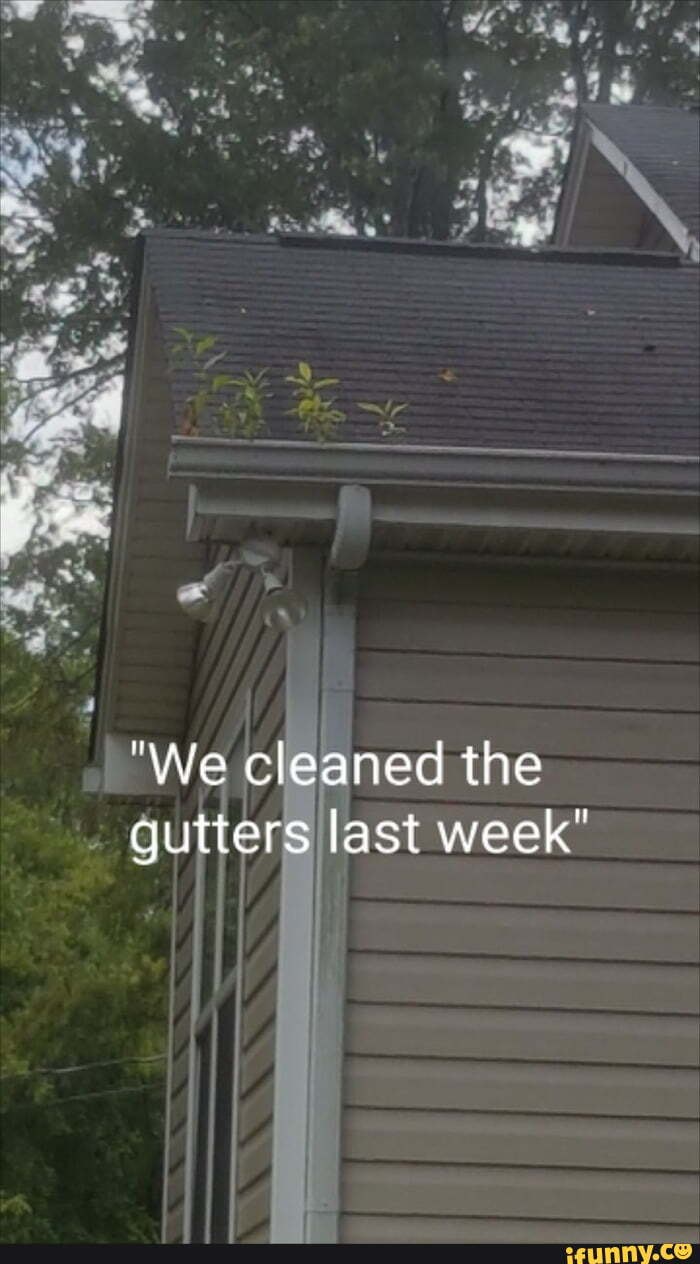 Gutters memes. Best Collection of funny Gutters pictures on iFunny