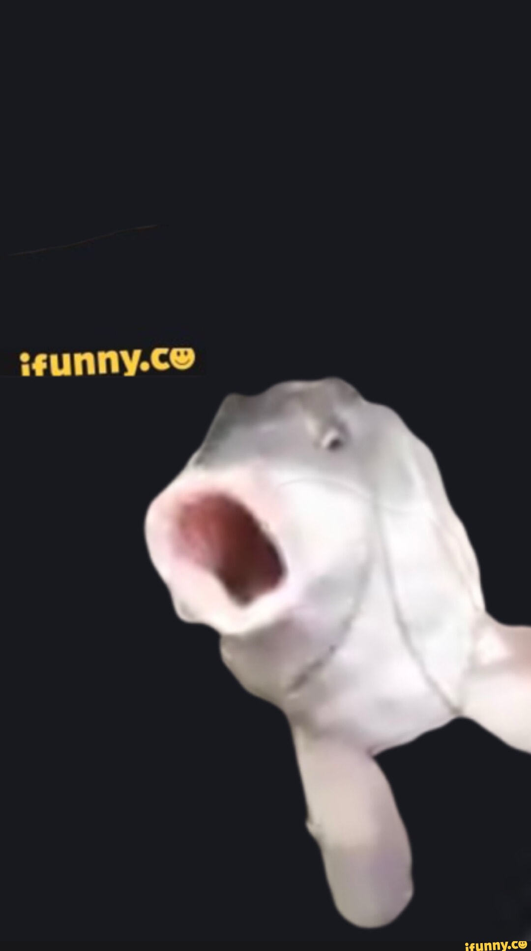 Catfish memes. Best Collection of funny Catfish pictures on iFunny