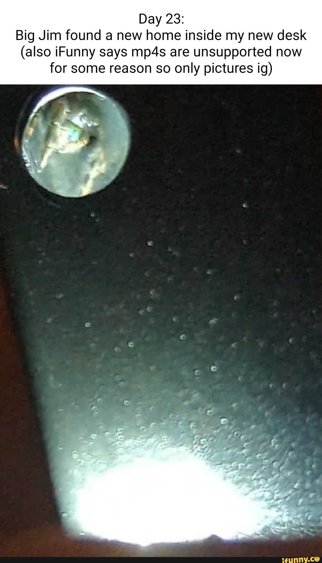 Unsupported memes. Best Collection of funny Unsupported pictures on iFunny