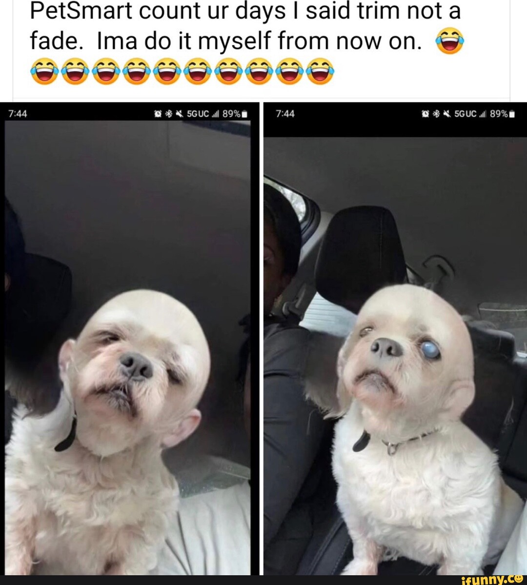Fade memes. Best Collection of funny Fade pictures on iFunny