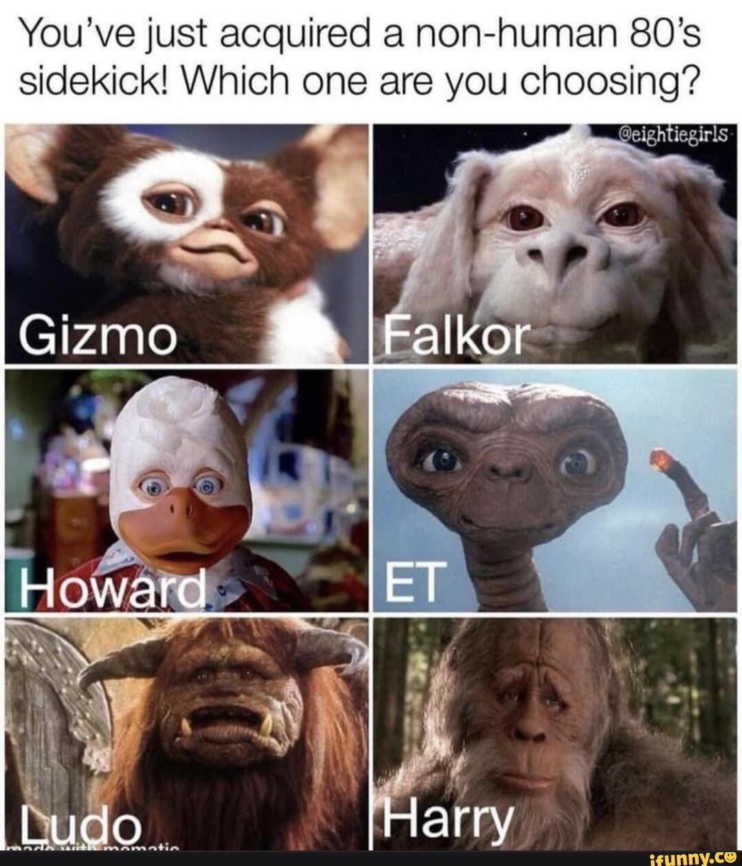 You've just acquired non-human 80's sidekick! Which one are you Gizmo ...