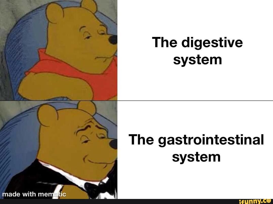 The digestive system The gastrointestinal system - iFunny