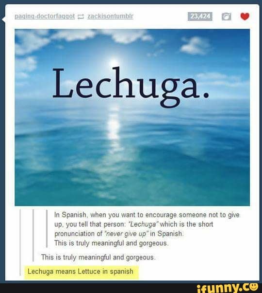 Lechuga memes. Best Collection of funny Lechuga pictures on iFunny