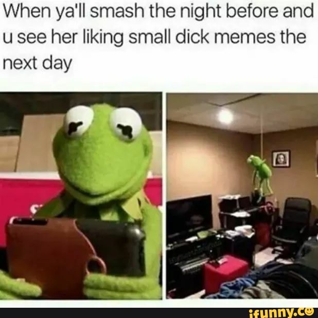 When ya'll smash the night before and usee her liking small dick memes the next day - iFunny