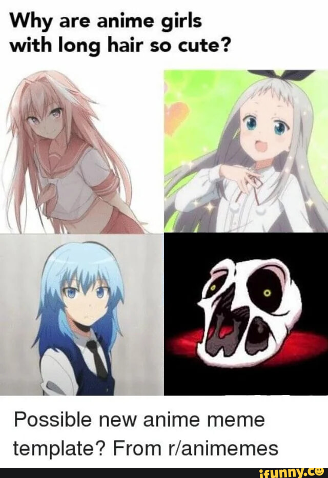Girls With Long Hair Meme