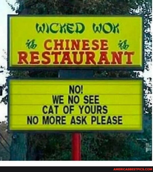 WOK CHINESE RESTAURANT NO! WE NO SEE CAT OF YOURS NO MORE ASK PLEASE ...