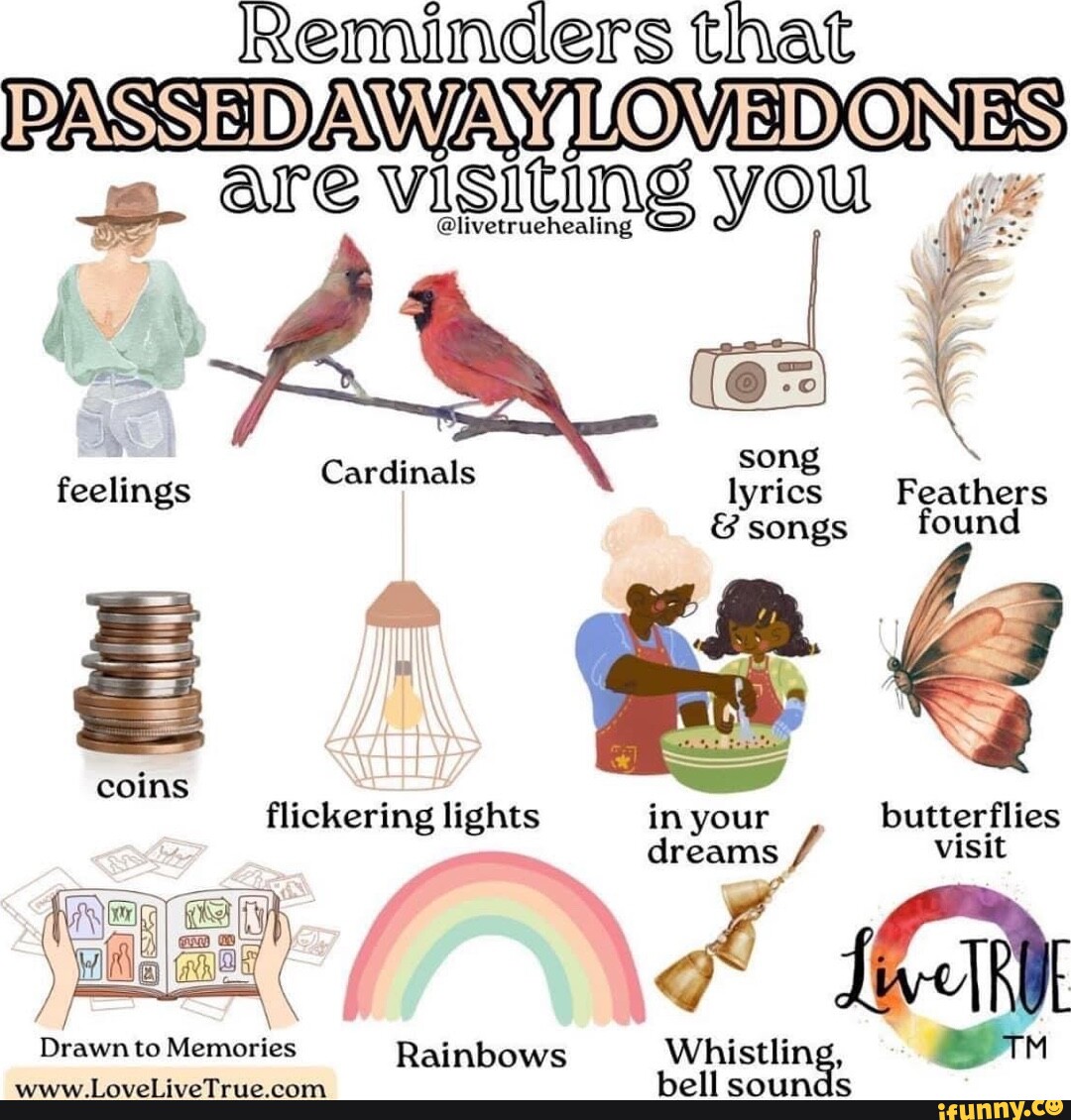 Visiting memes. Best Collection of funny Visiting pictures on iFunny