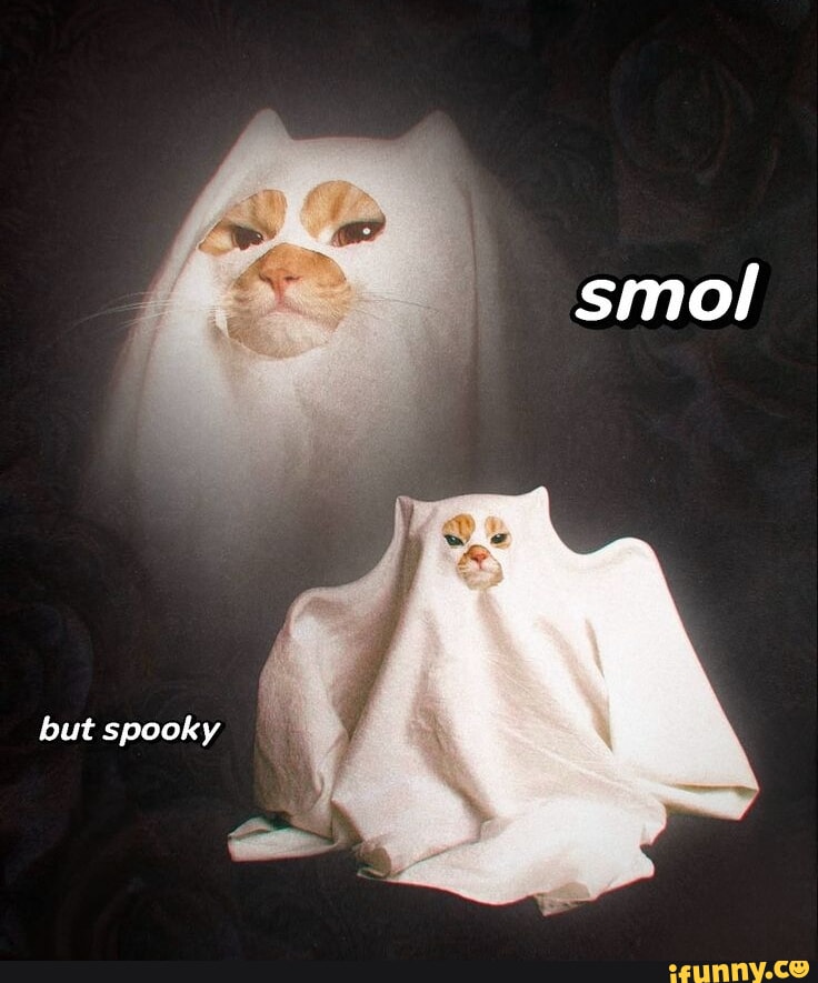 Smol memes. Best Collection of funny Smol pictures on iFunny