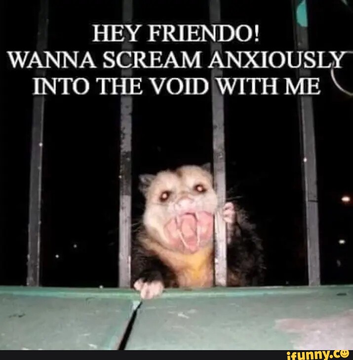 HEY FRIENDO! WANNA SCREAM ANXIOUSLY INTO THE VOID WITH ME ff - iFunny
