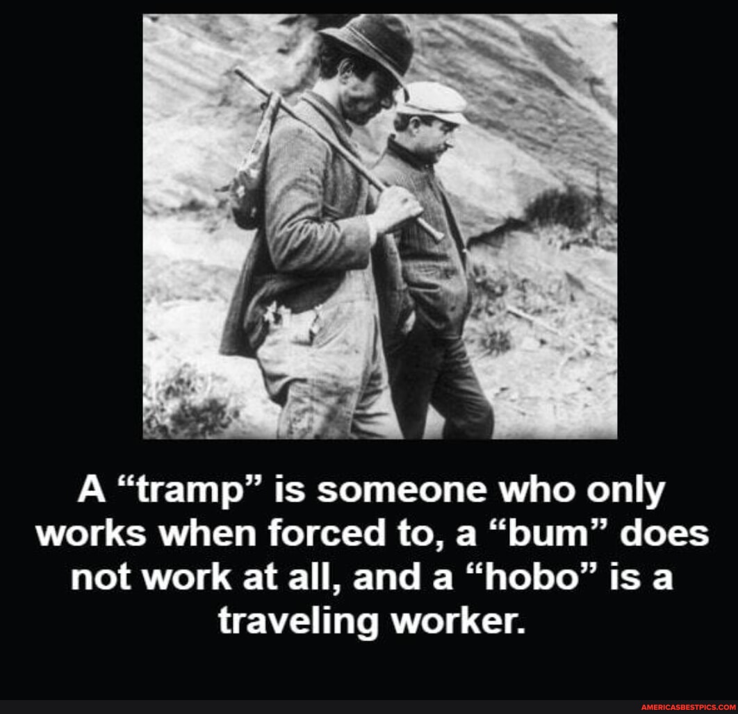 America’s best pics and videos - the best memes, video, gifs and funny ...