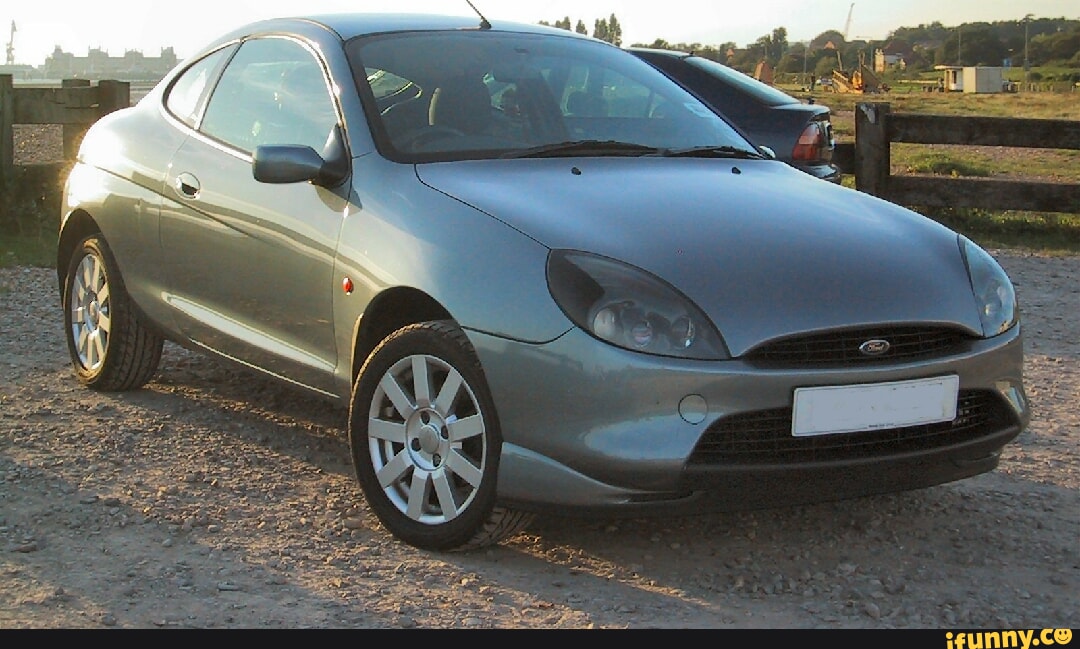 Puma memes. Best Collection of funny Puma pictures on iFunny