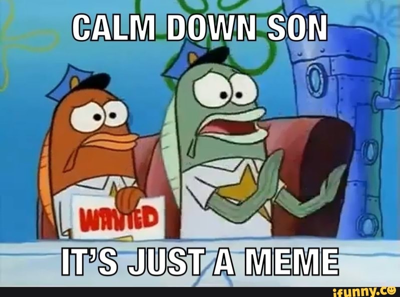 CALM DOWN SON IT'S JUST A MEME - iFunny