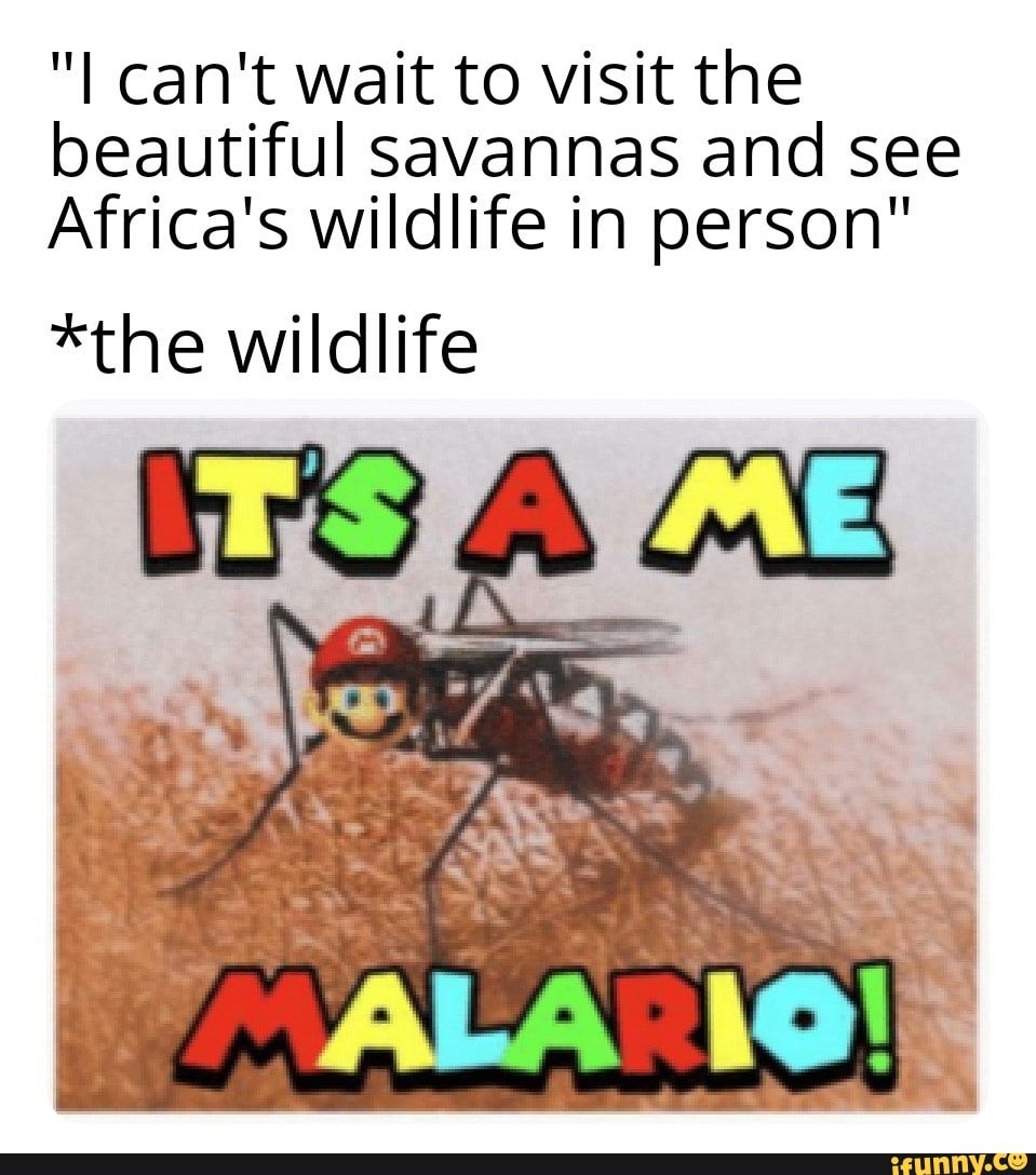 Savannas memes. Best Collection of funny Savannas pictures on iFunny