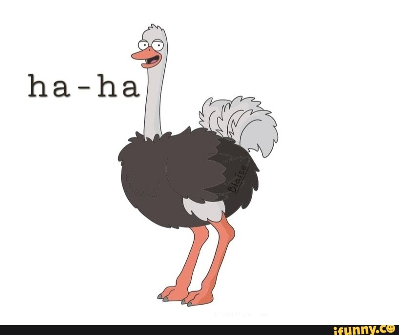 Ha Ha Ostrich Gif