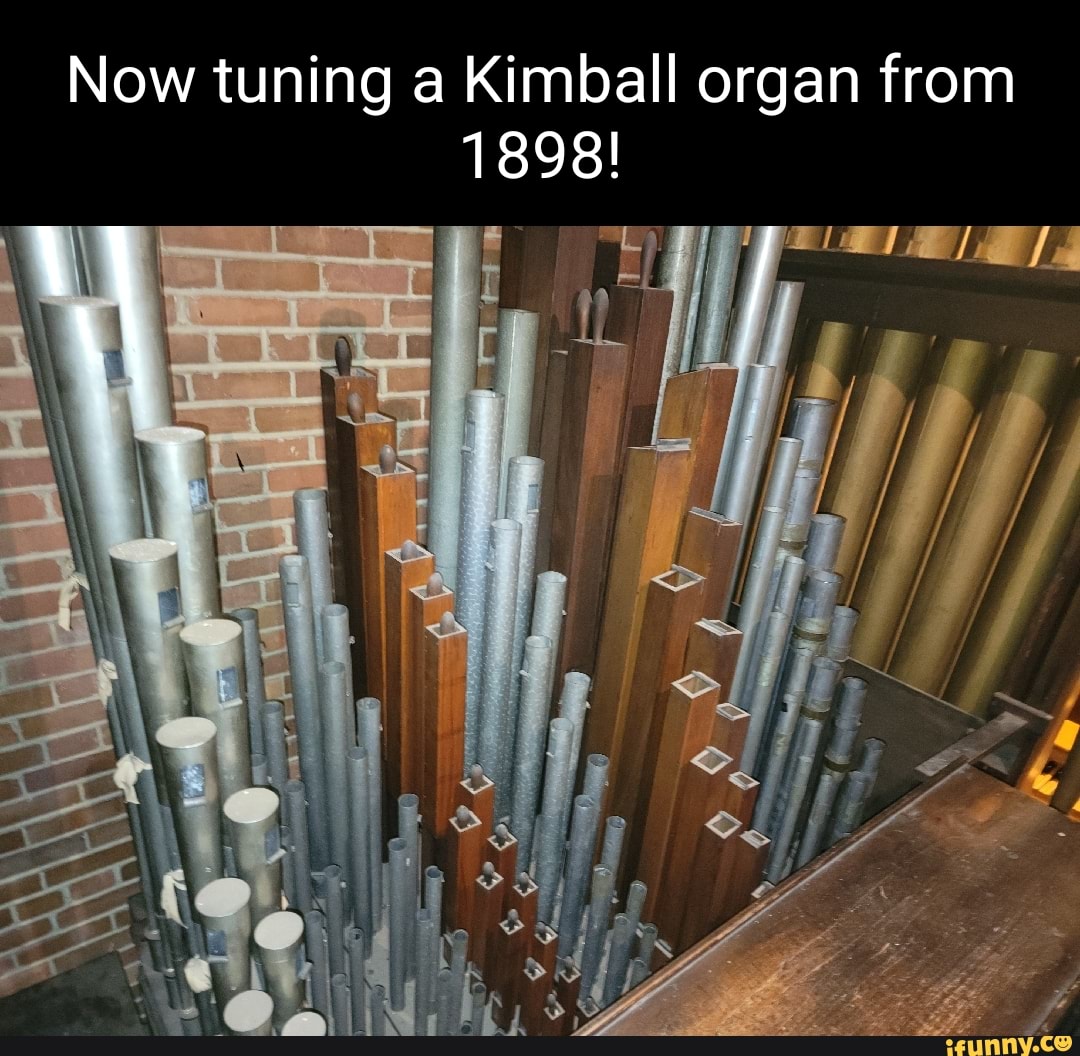 Pipeorgan memes. Best Collection of funny Pipeorgan pictures on iFunny