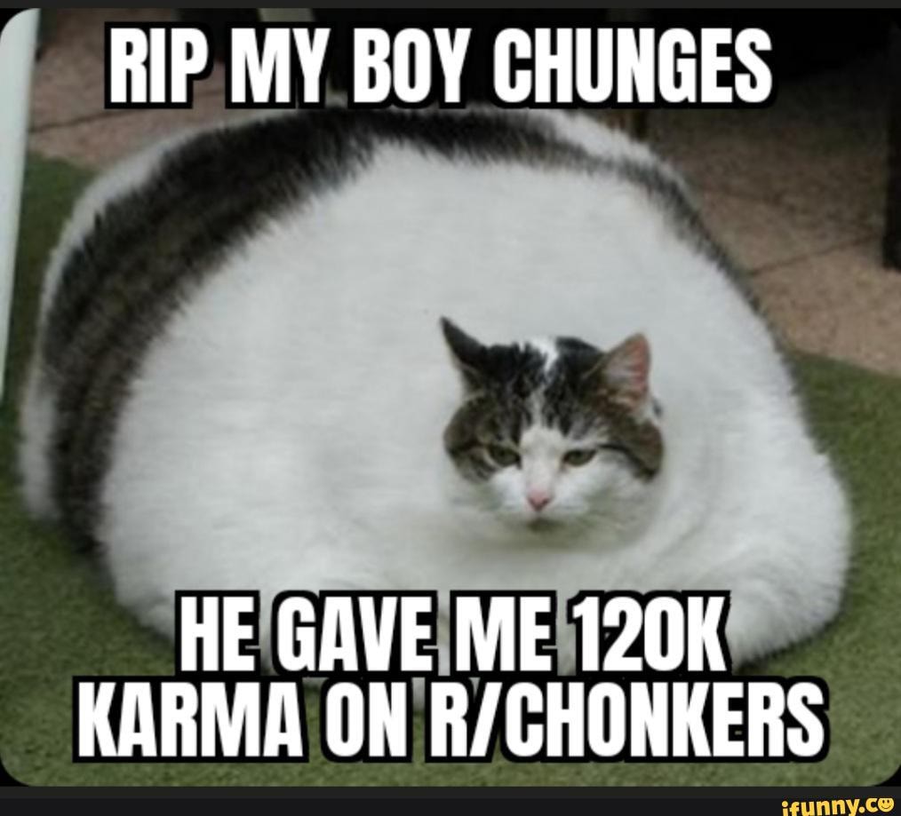 Chunges memes. Best Collection of funny Chunges pictures on iFunny