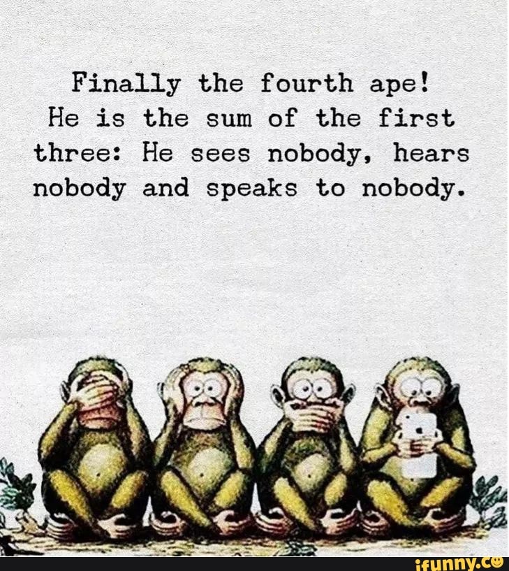 Finally the fourth ape! He is the sum of the first three: He sees ...