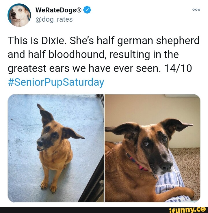 Video memes lZHgLRvTA by PteButtstuff - iFunny