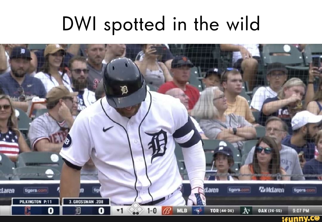 DWI spotted in the wild - iFunny
