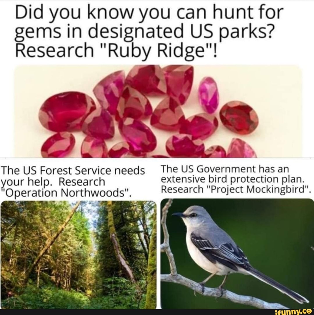 Did you know you can hunt for gems in designated US parks? Research ...
