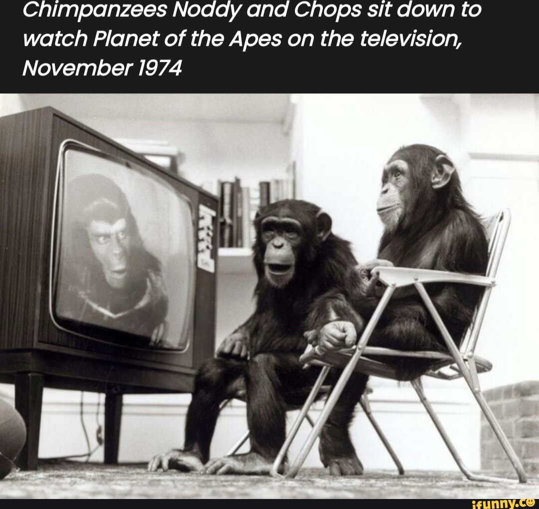 Noddy memes. Best Collection of funny Noddy pictures on iFunny