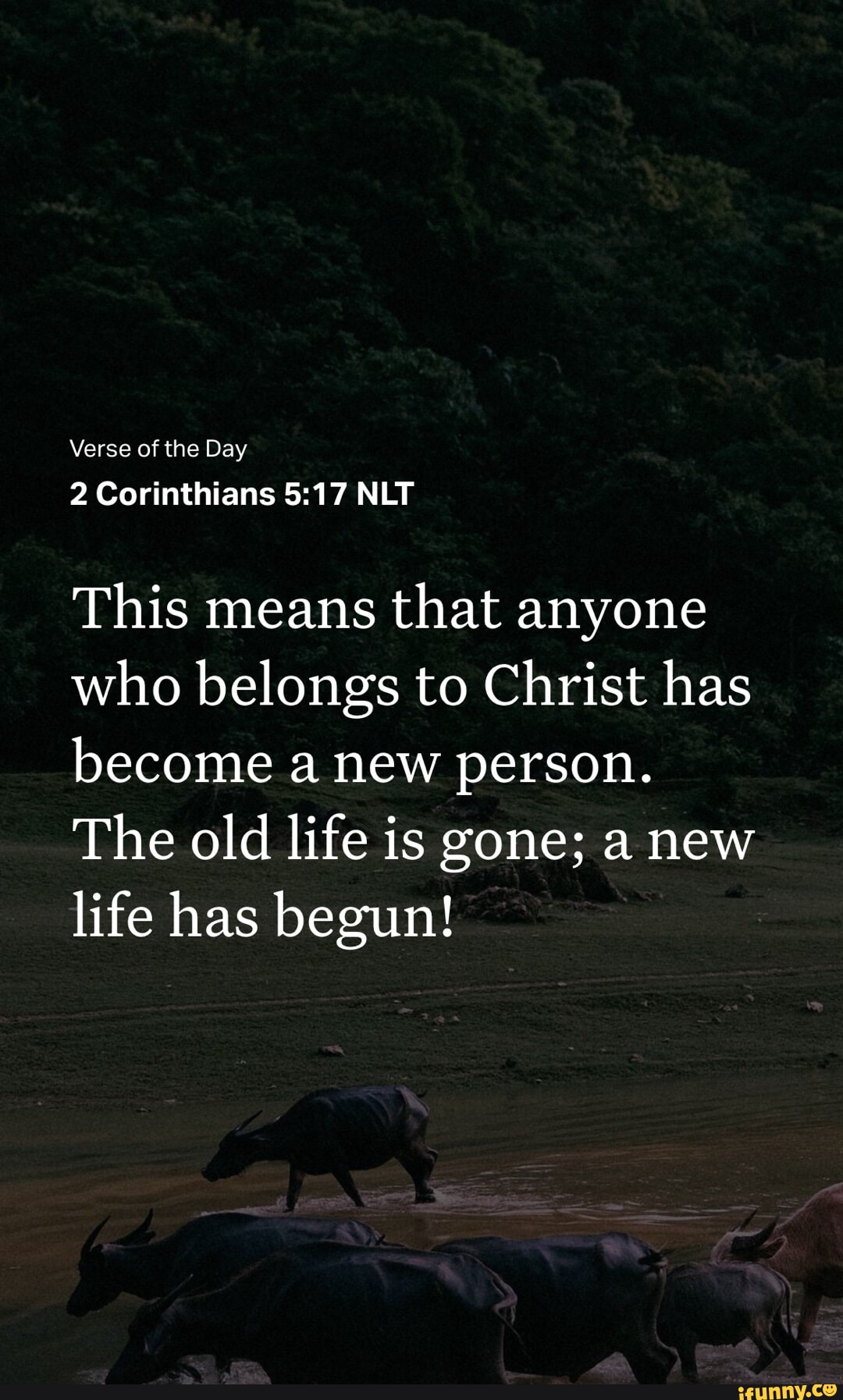 Verse of the Day 2 Corinthians NLT This means that anyone who belongs ...