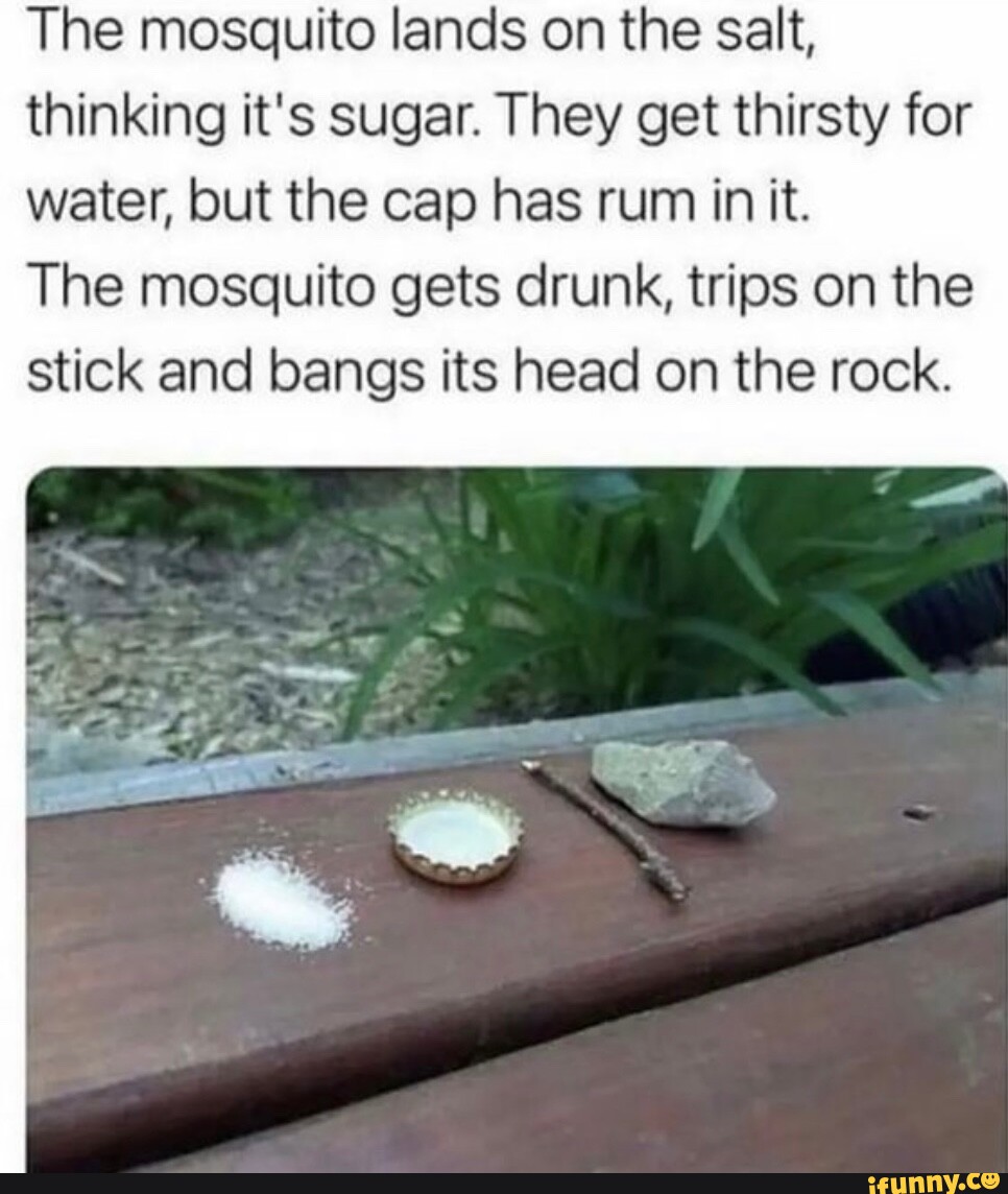 The mosquito lands on the salt, thinking it's sugar. They get thirsty ...