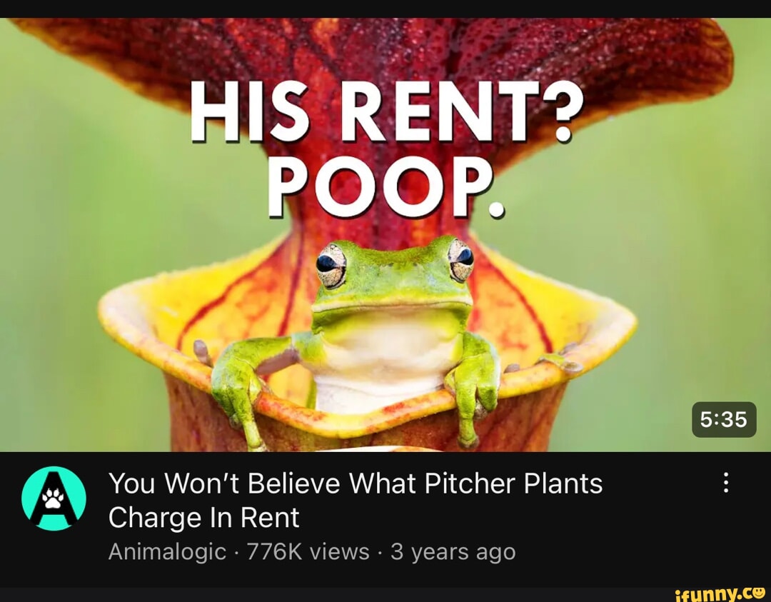 HIS RENT? POOP. You Won't Believe What Pitcher Plants Charge In Rent ...