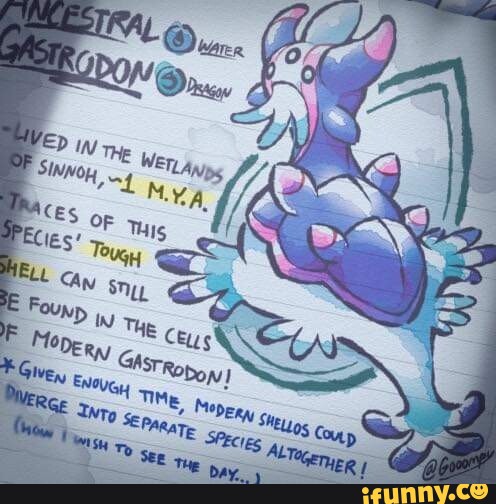 Gastrodon memes. Best Collection of funny Gastrodon pictures on iFunny