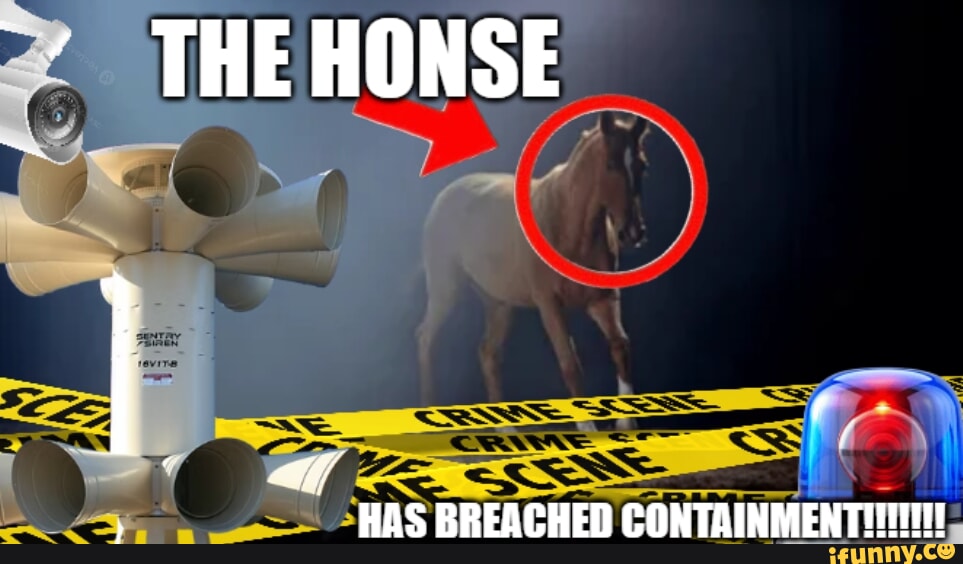 Honse memes. Best Collection of funny Honse pictures on iFunny