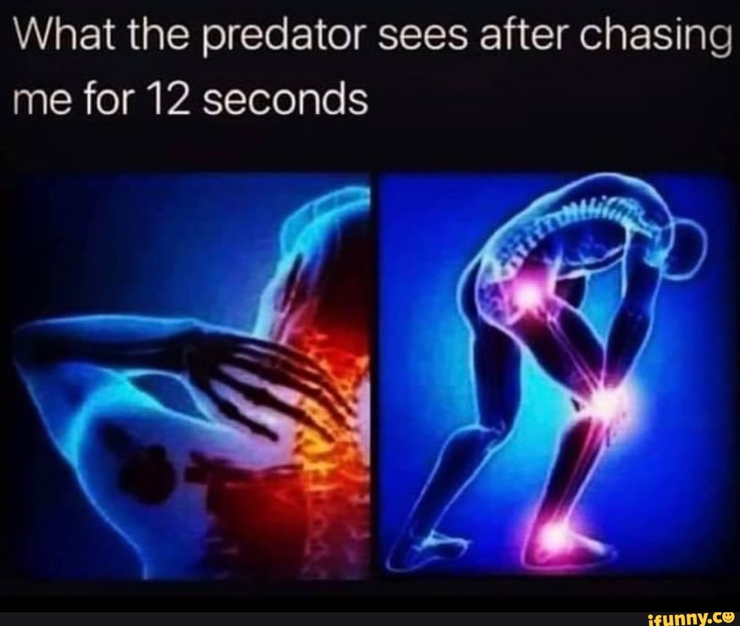 What the predator sees after chasing me for 12 seconds - iFunny