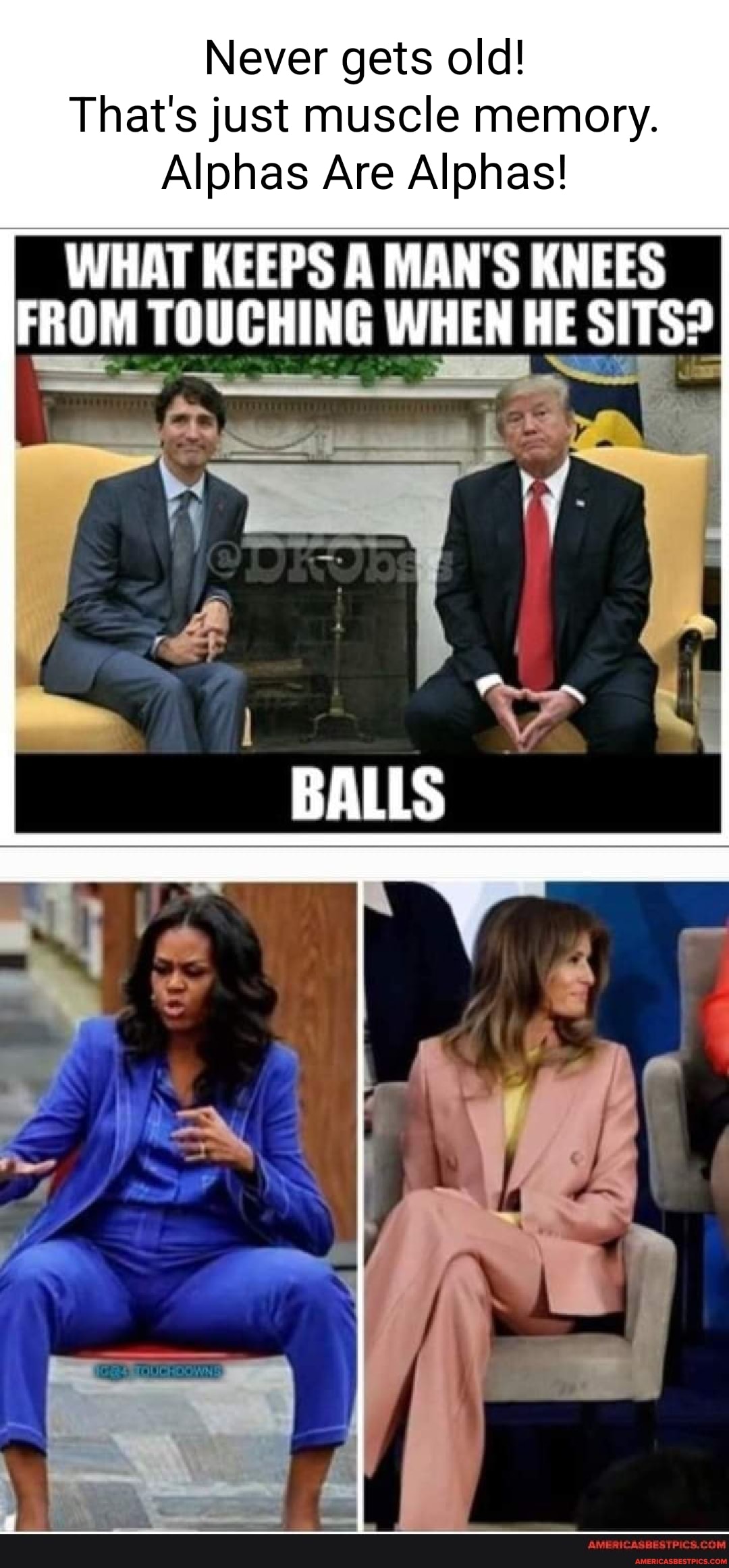 Never gets old! That's just muscle memory. Alphas Are Alphas! WHAT ...