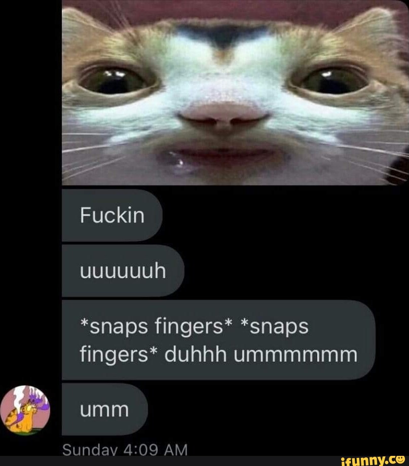 Duhhh memes. Best Collection of funny Duhhh pictures on iFunny