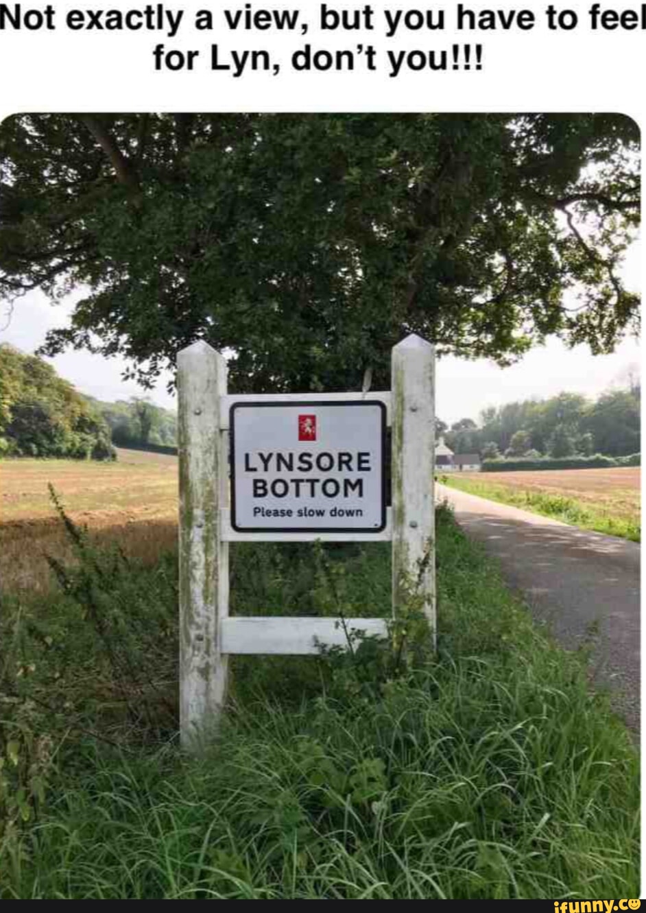 Lyn memes. Best Collection of funny Lyn pictures on iFunny