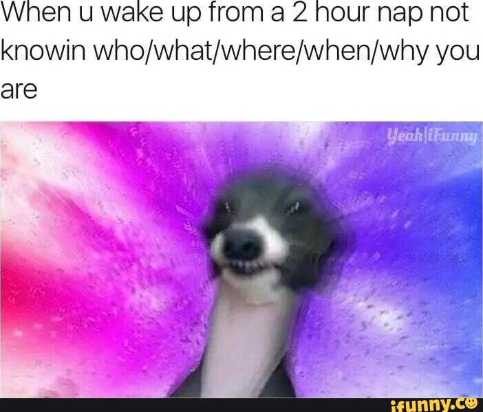 When u wake up from a 2 hour nap not knowin you are - iFunny
