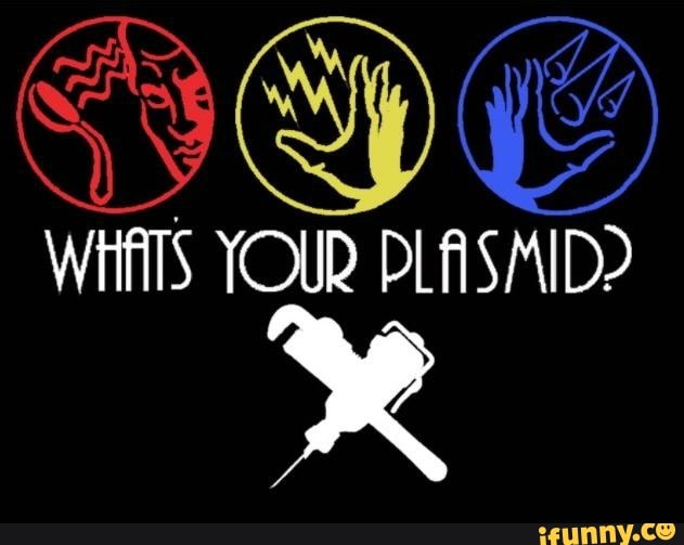 Plasmids memes. Best Collection of funny Plasmids pictures on iFunny