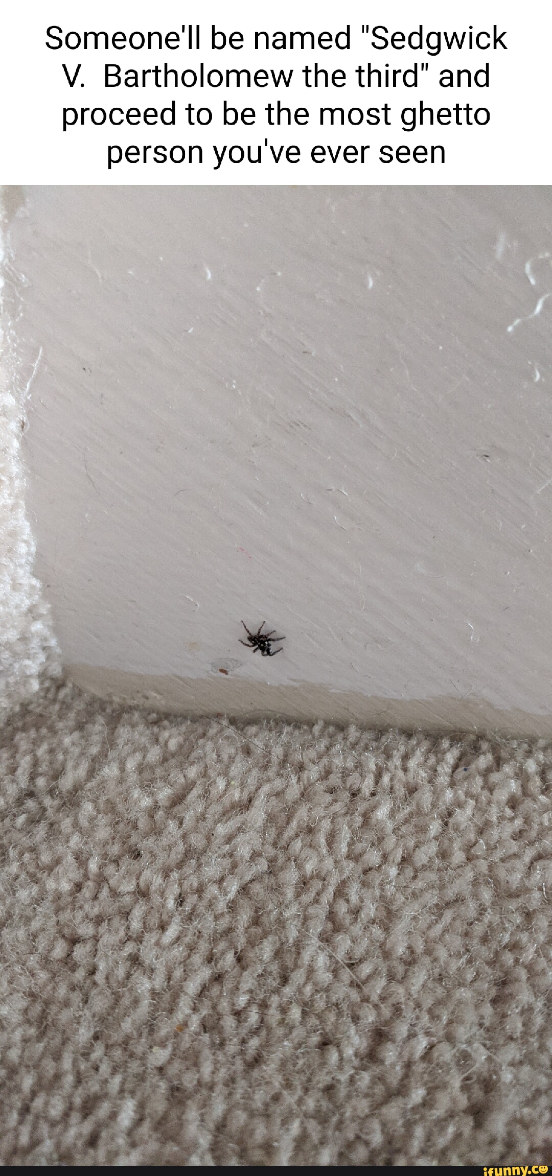 Bartholomew memes. Best Collection of funny Bartholomew pictures on iFunny